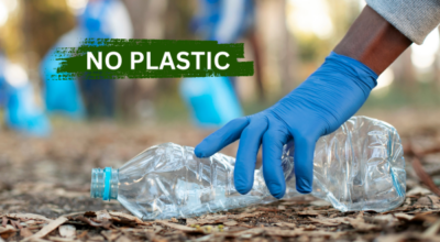 Reforest with Kalpaka: Plant Trees, Save water and Avoid Plastic!