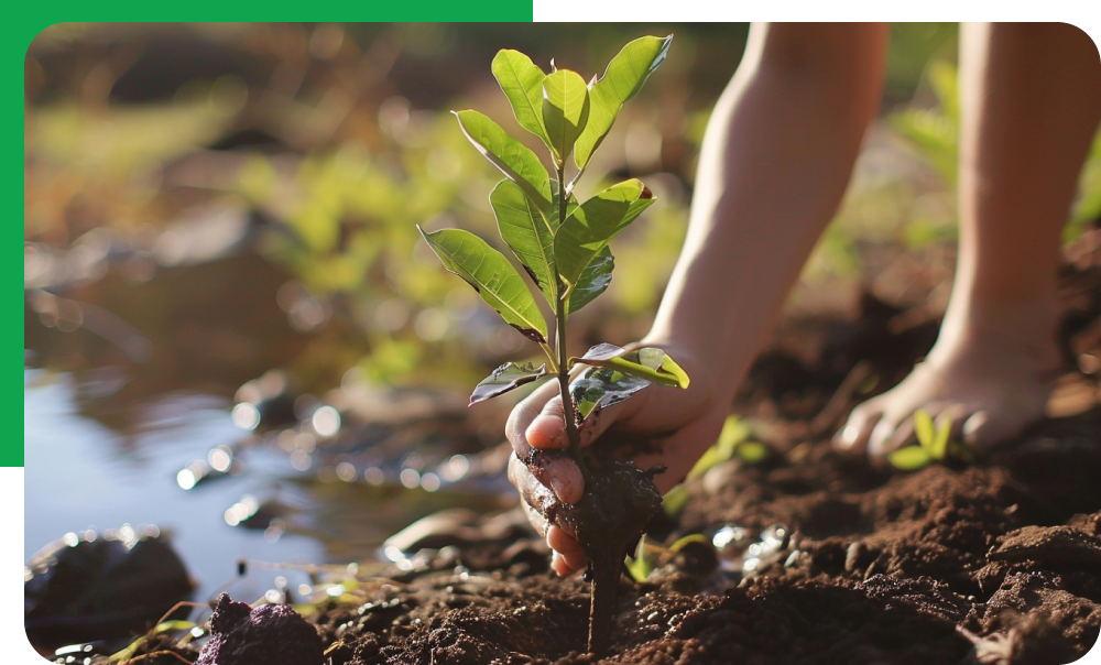 Change Nature by planting trees! Become a Volunteer at Kalpaka