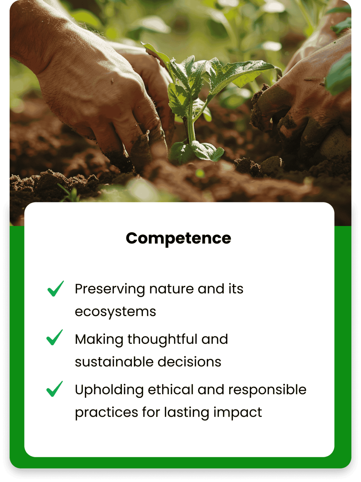 Change Nature by planting trees! Become a Volunteer at Kalpaka